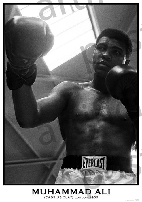 Muhammad Ali posters - Ali London 1966 poster ART129 – Panic Posters